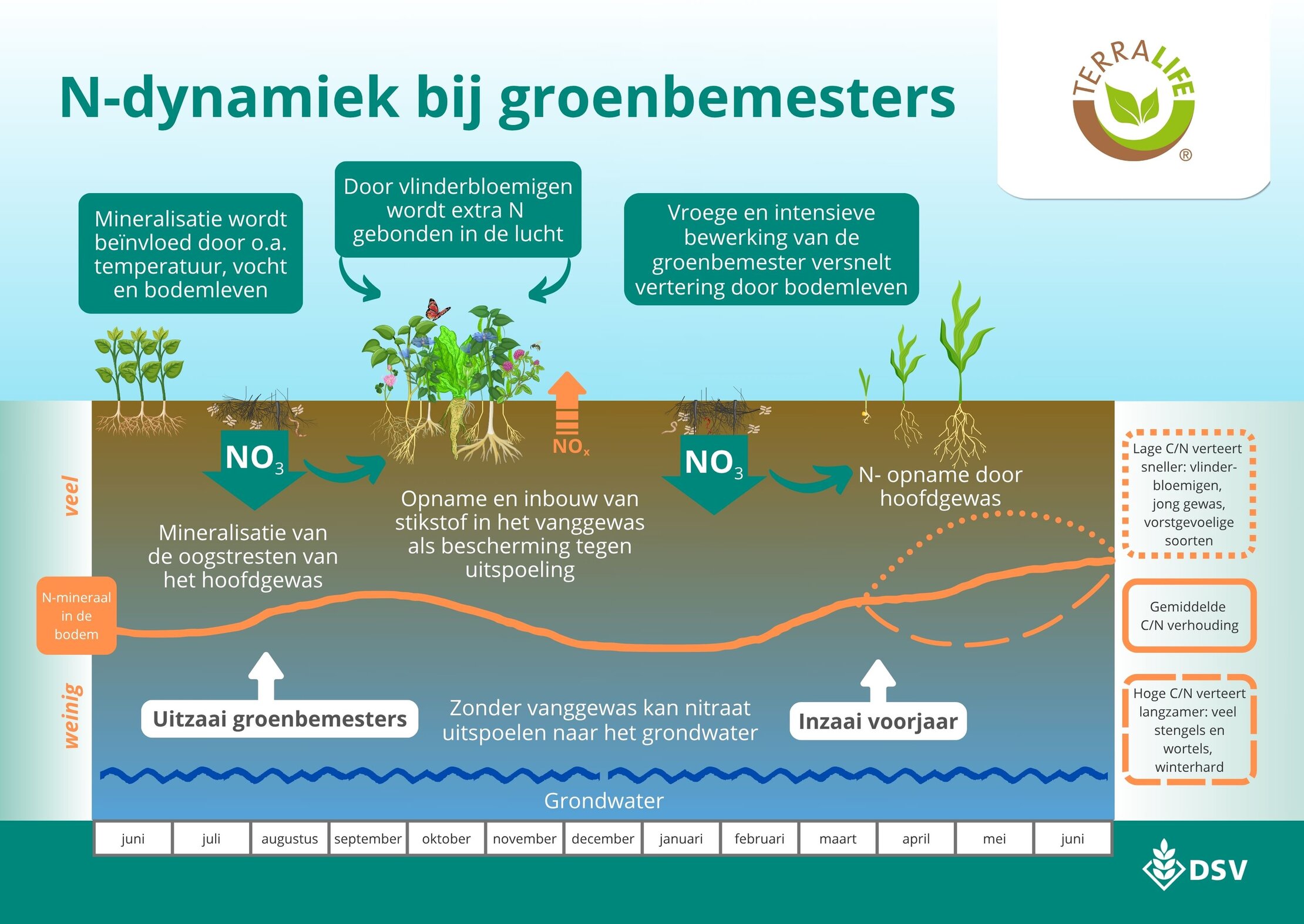 DSV | 30.06.2025 | N-Dynamiek groenbemester