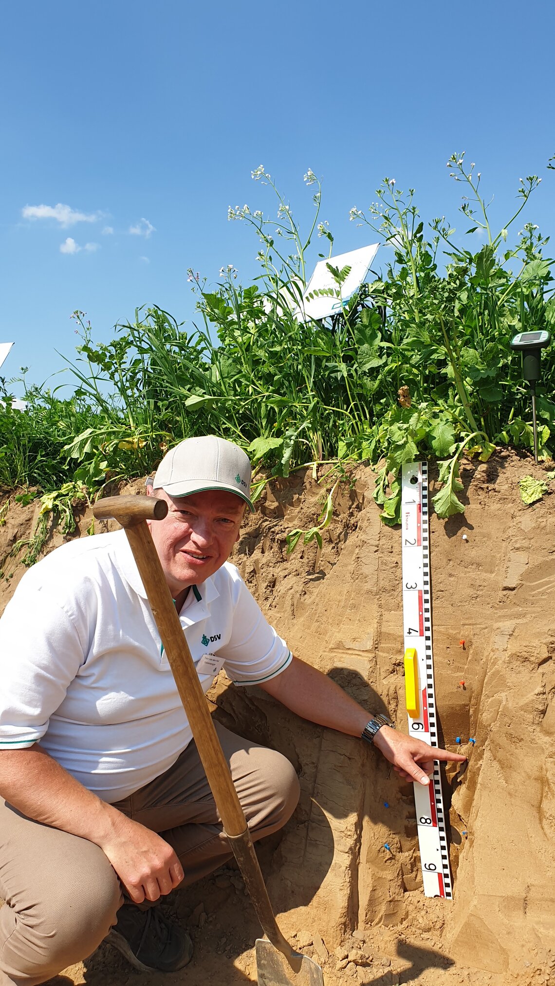 DSV | 27.06.2023 | Groenbemesters regenworm